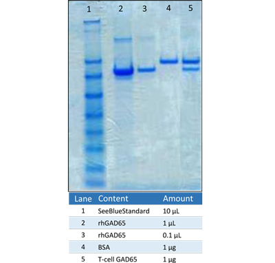Order GAD for research